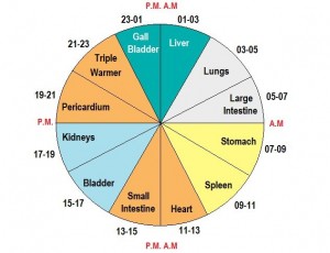 Chinese Body Clock - What is the Chinese Meridian Clock?